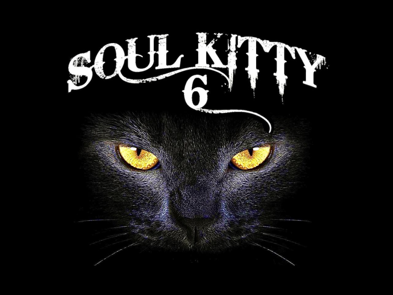 Soul Kitty 6 - The Pirate's Guide to Boating